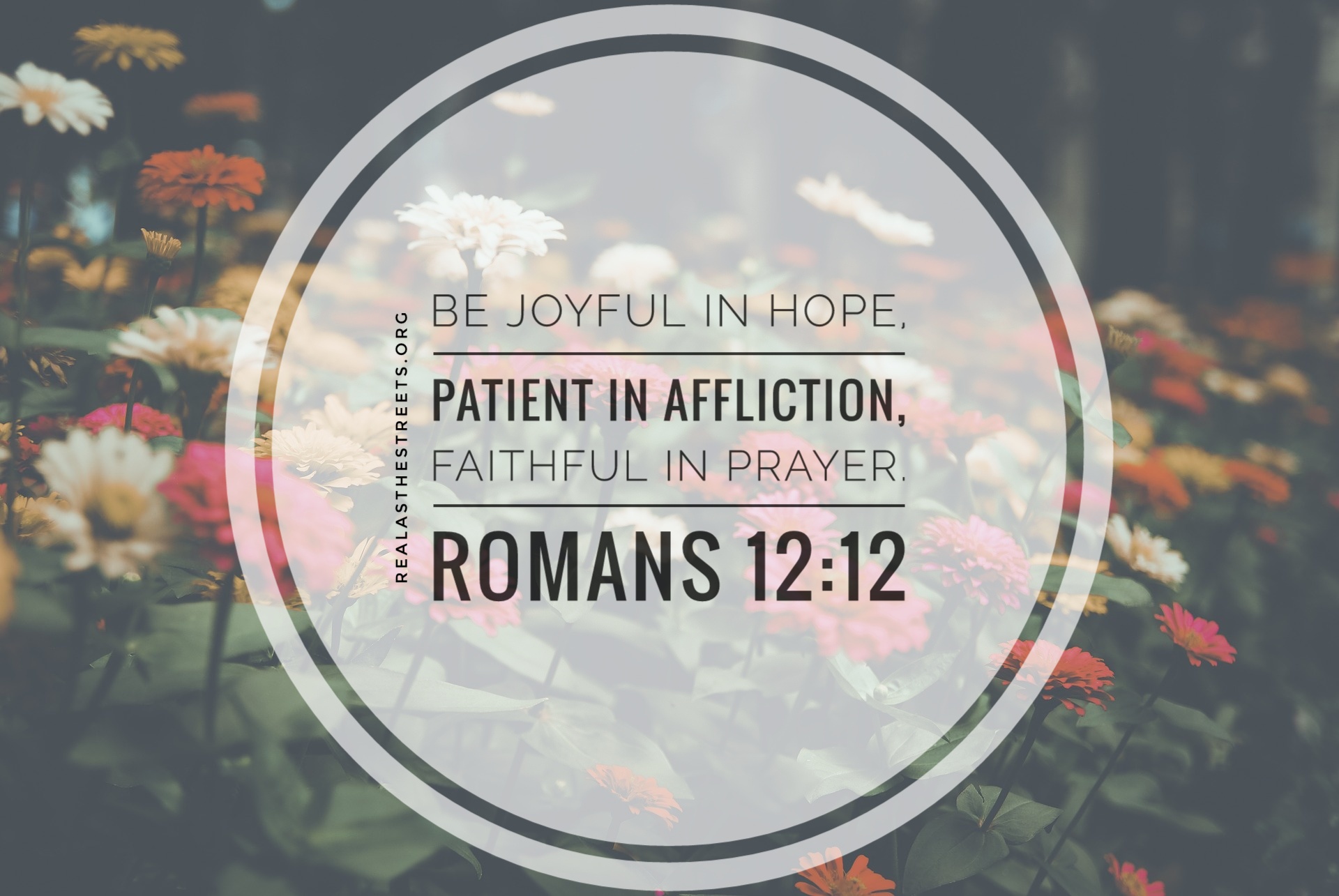 Romans 12:12 – Jesus Christ Delivers